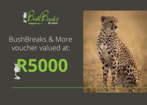 R5000 Gift Voucher - BushBreaks