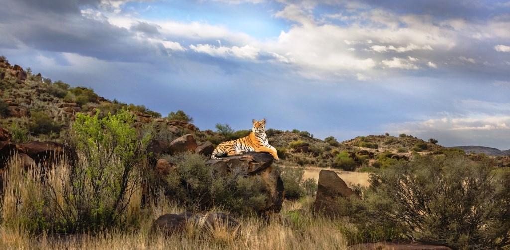 Tiger Canyon Private Game Reserve - BushBreaks