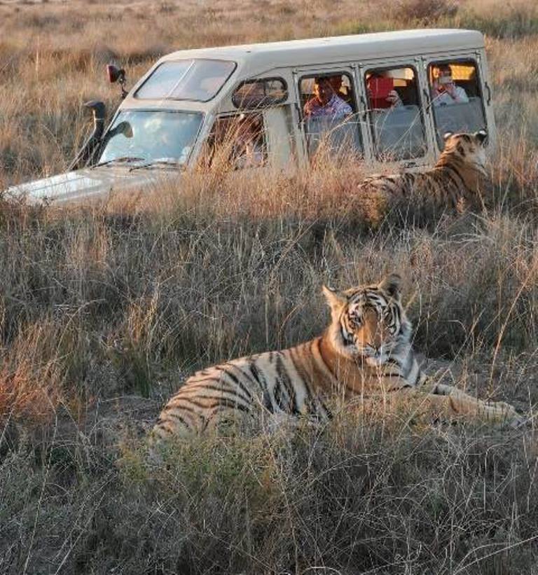 Tiger Canyon Private Game Reserve - BushBreaks