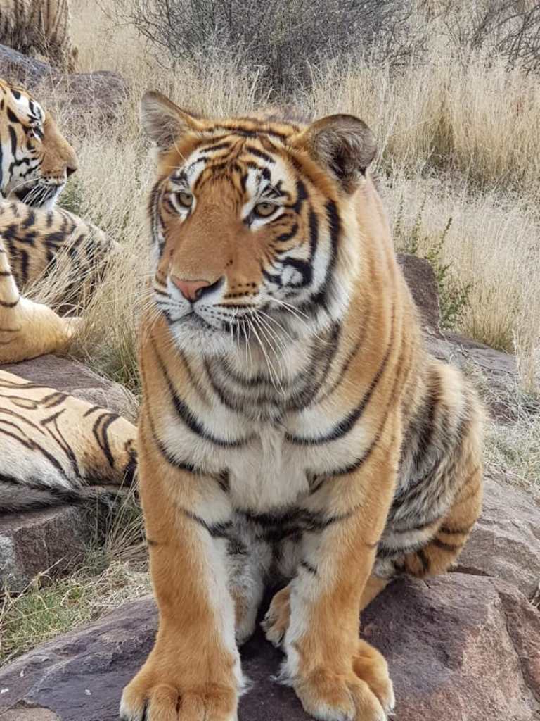 Tiger Canyon Private Game Reserve - BushBreaks